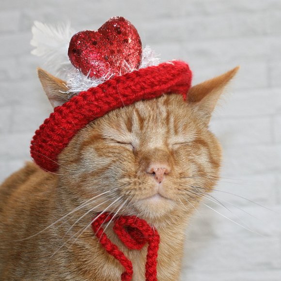 Hand Crafted | Cat | Hand Crafted Crochet Valentines Day Cat Hat ...